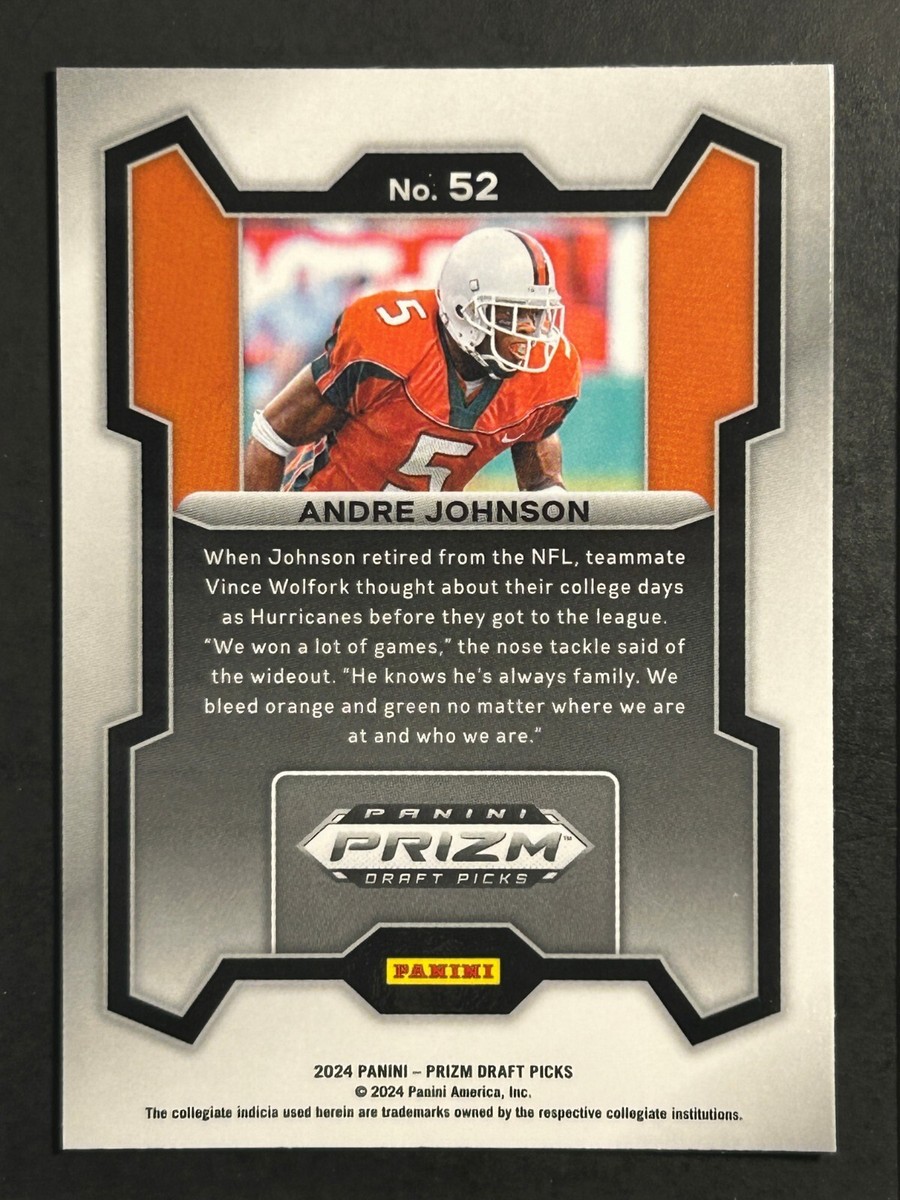 Andre Johnson Nfl College