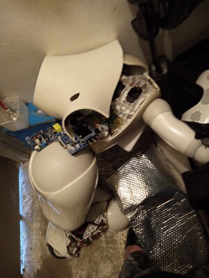 SoftBank Robotics Smart Programmable Humanoid Robots Pepper, | eBay