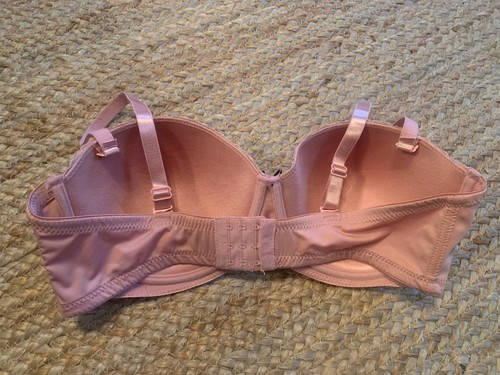 Pure Beauty By Rene Rofe Size 40C Dusty Pink Underwire Bra NWT Light ...