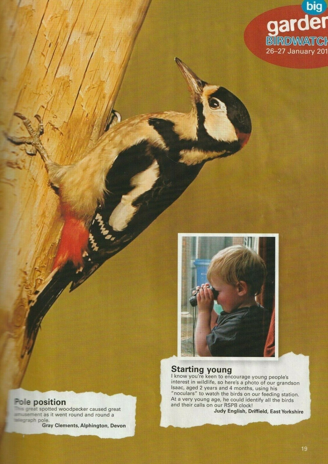 RSPB Birds Magazines x2: Spring 2013 & Winter 2012 Illustrated | eBay UK