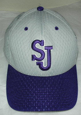 Sharp Game Pro L/XL Raised SJ Paw Print Grey and Purple Sports Ball Cap ...