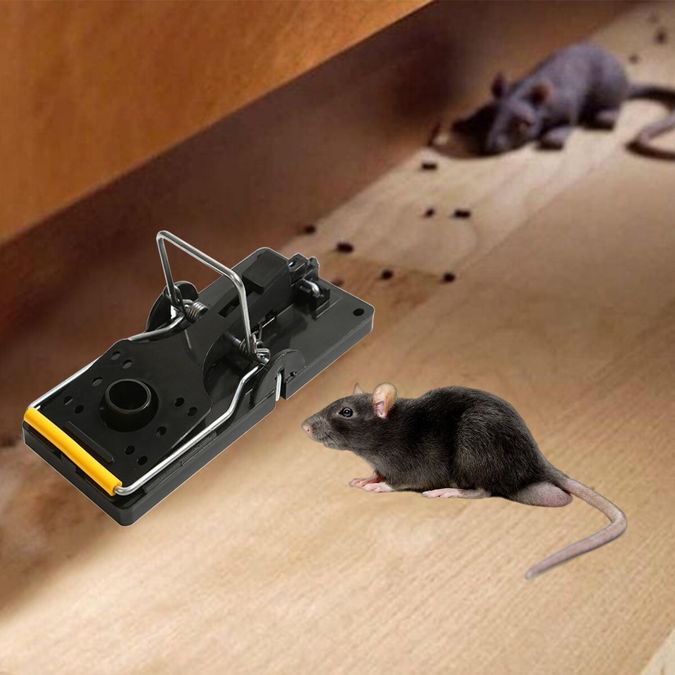 4Pcs Professional Mouse Traps Mousetrap Strong Easy Catcher Control ...
