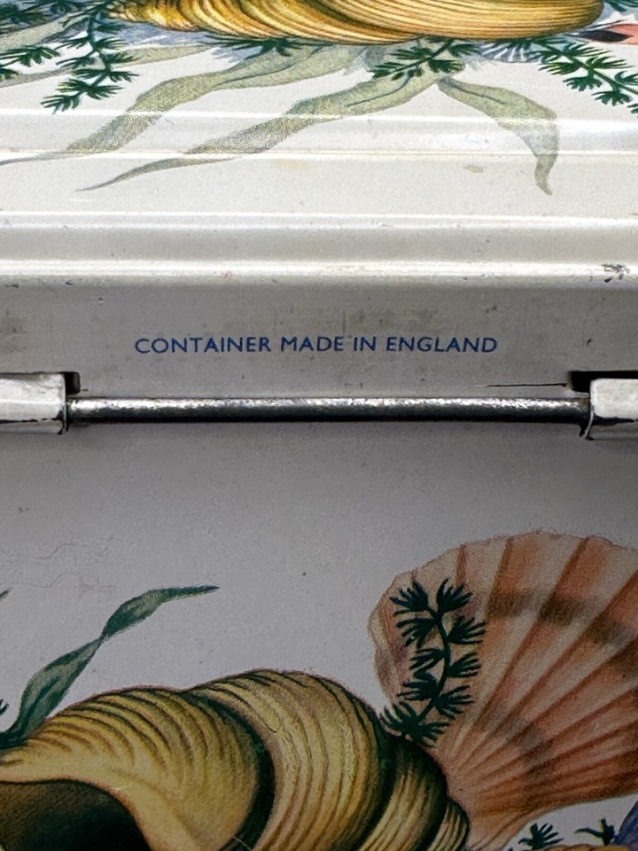 Vintage Seashell Beach Metal Container Made In England Tin Hinged Box ...