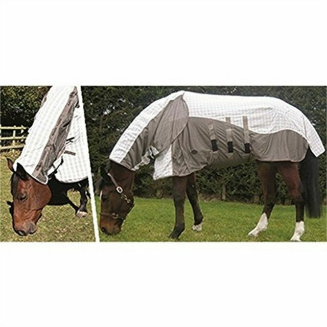 Mark Todd Horse Fly Rug Air Mesh Combo 880646 Blue & Tan 6 Foot for ...
