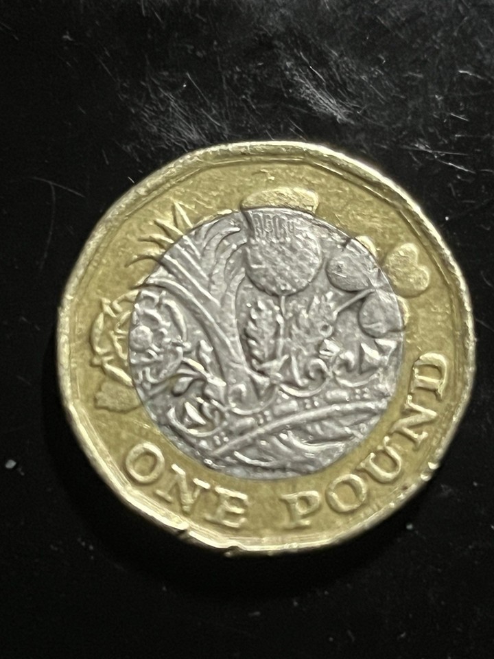 Very Rare One Pound Coin 2016, Pictures Every Thing Can See | eBay UK
