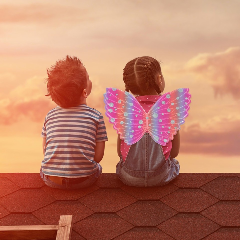 1 Set 3pcs Fairy Stick Set Kids Costume Wing Skirt Supplies | eBay ...