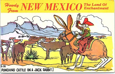 Postcard KNM Howdy From New Mexico Punching Cattle On A Jack Rabbit ...