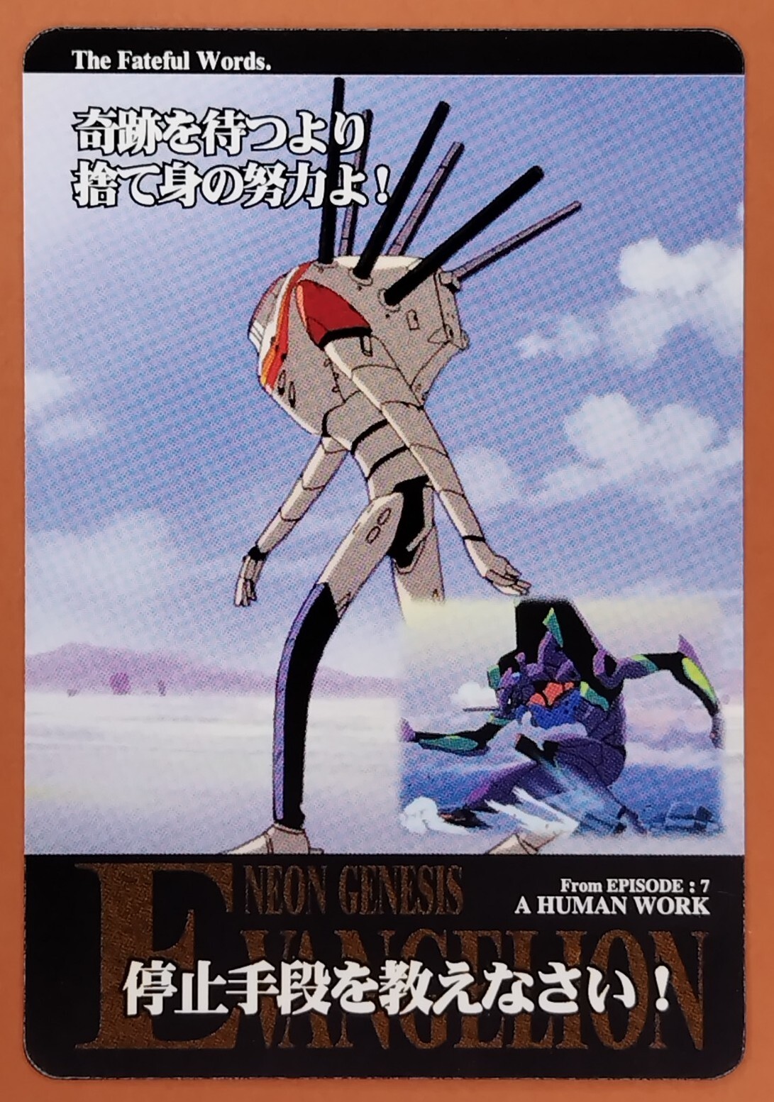 Jet Alone Evangelion Neon Genesis EVANGELION No.67 Japan Japanese Cards ...