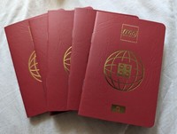 LEGO Store Passport 2024 Design Milton | Offer of the day