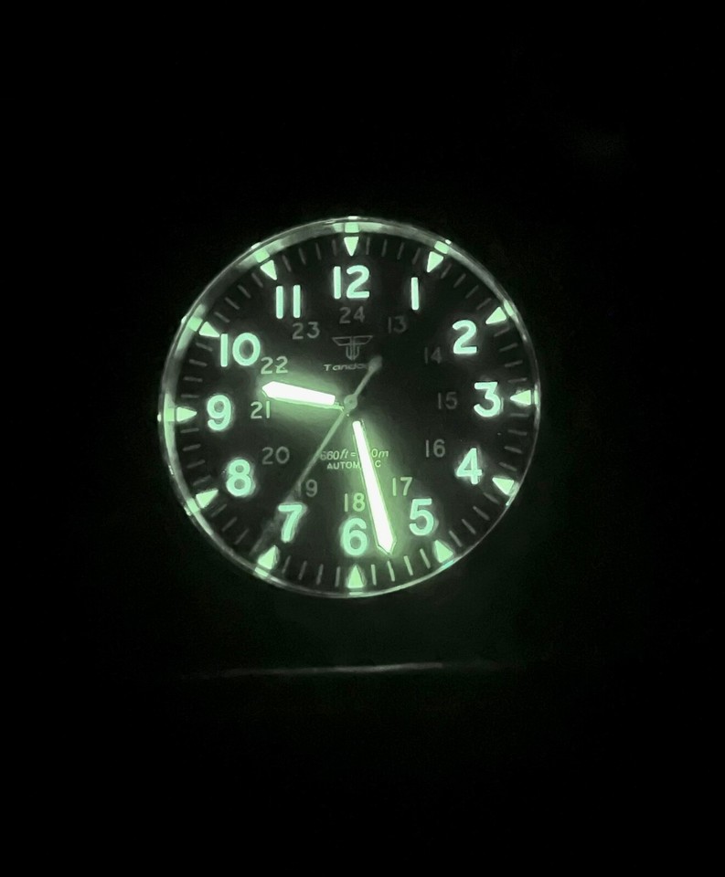 G10 Military Issue style Field Watch - Seiko NH35 Auto. - Stainless ...
