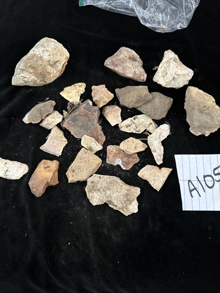 Native American Artifacts Chiseled Chert & Broken Artifacts Lake ...