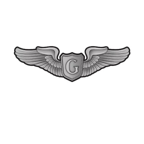 Glider Pilot Badge Wings Sticker | eBay