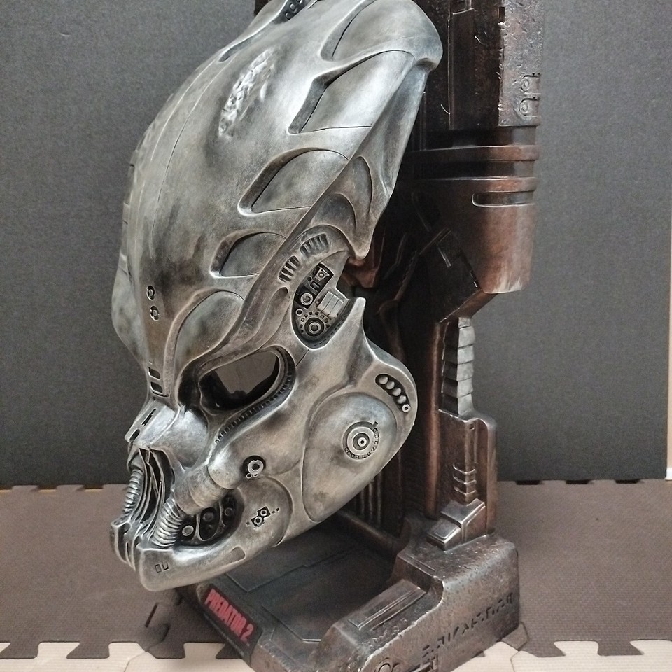 Guardian Predator Mask | eBay