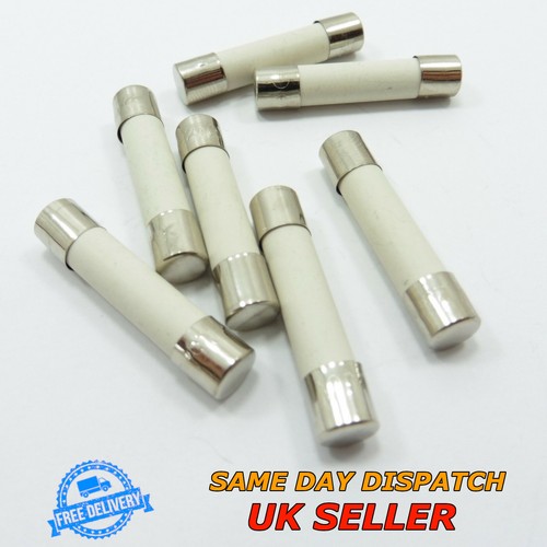 250V Quick Blow Ceramic Fuses 6mm x 30 mm Fast Acting | eBay