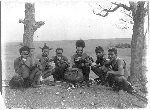 Man Eating Tree In Africa