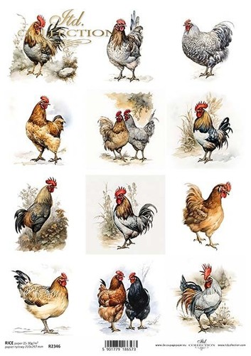 Rooster & Chicken Minis | A4 Rice Paper | Paper for Decoupage | ITD ...