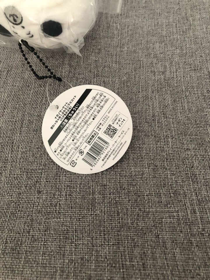 Nagano Market Let's Change! Puchi Mini Mascot Pug Costume | eBay UK