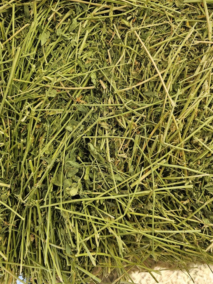 Alfalfa Hay 2 String Bale | eBay