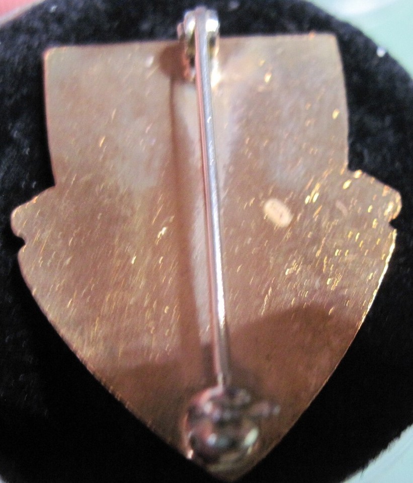 Army crest DI dui PB Pinback ww2 110th CAVALRY REGIMENT cav rgt no mark ...