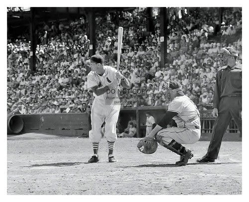 STAN MUSIAL ST. LOUIS CARDINALS BATTING FAMOUS STANCE BASEBALL 8X10 ...