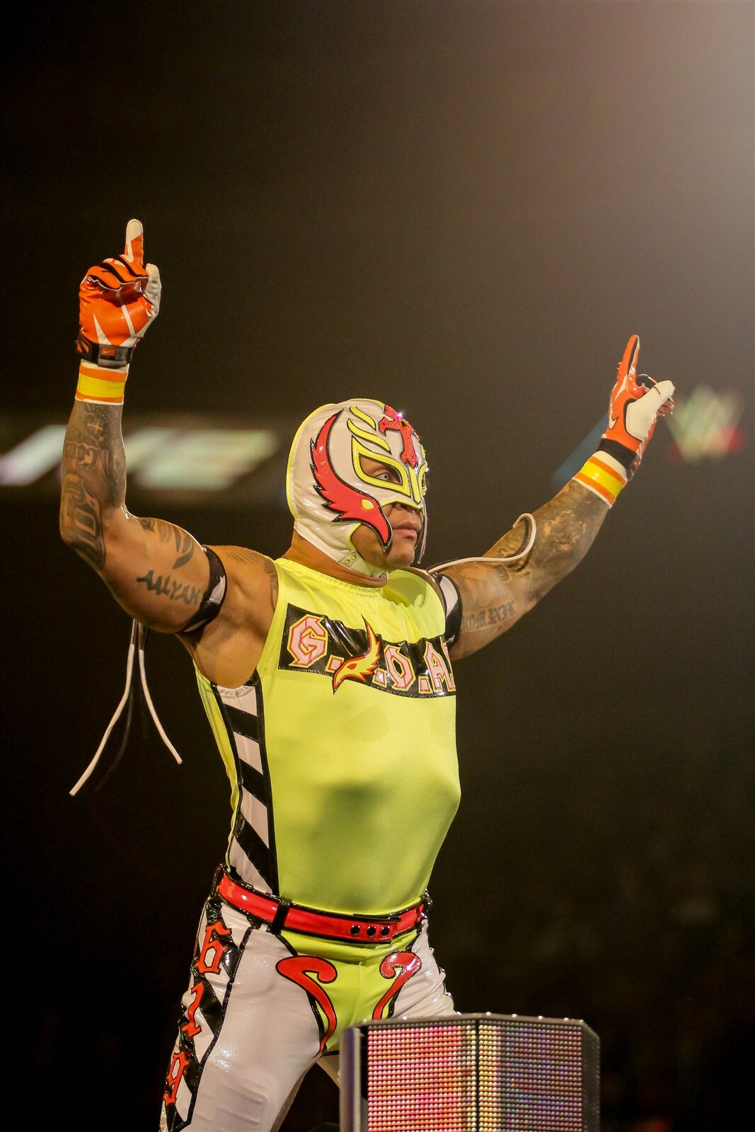 REY MYSTERIO 8X12 COLOR PHOTO WWE ROH ECW TNA NXT HOH IMPACT AEW | eBay