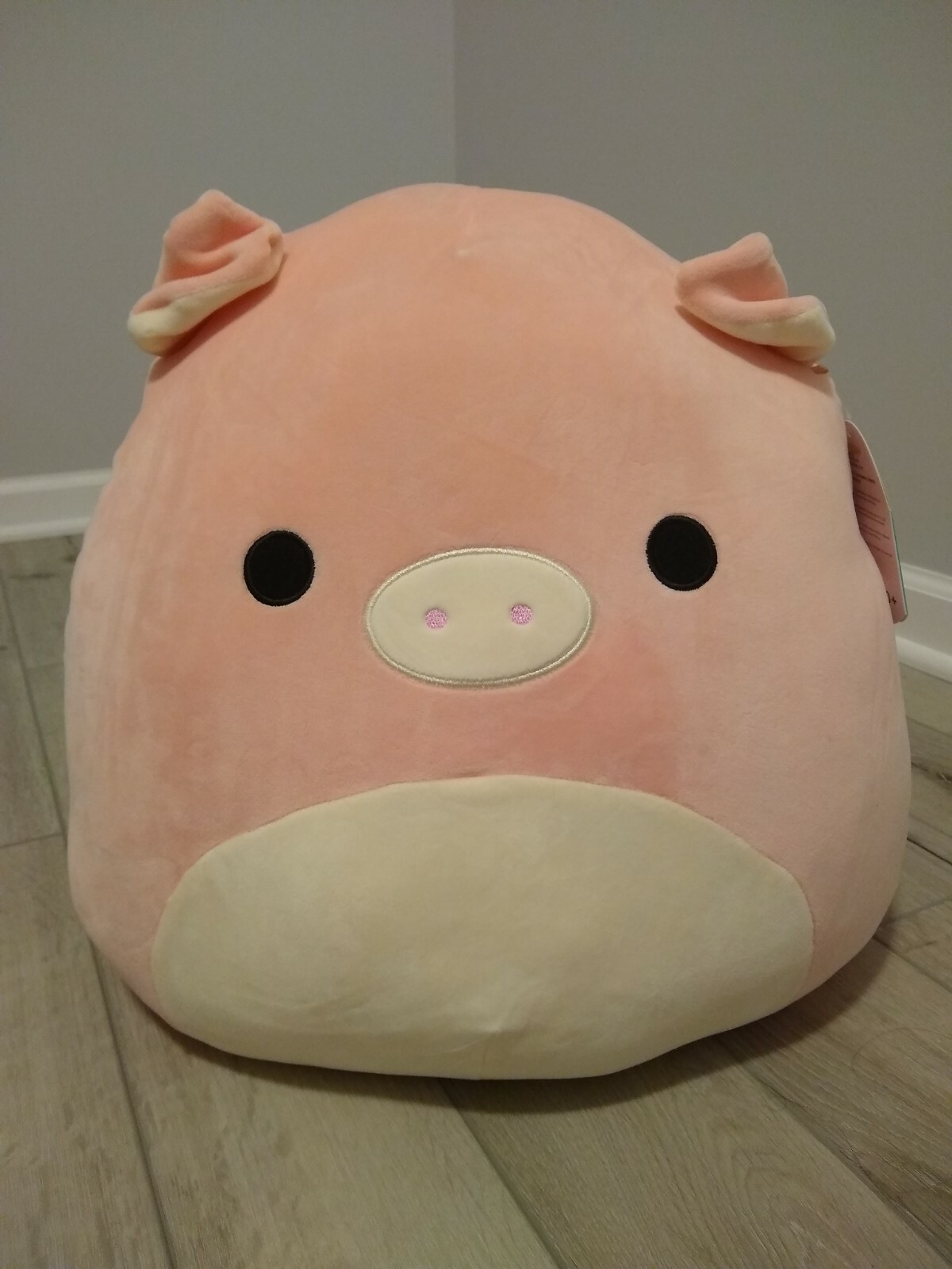 Squishmallows Peter the Pig 16 - town-green.com