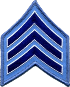 CHICAGO POLICE SERGEANT CHEVRON RANK INSIGNIA PATCH: Standard Shirt ...