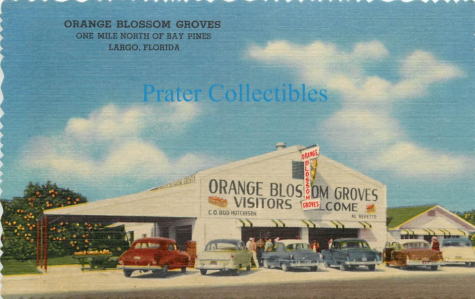 Florida, FL, Largo, Orange Blossom Grove Linen Postcard Serrated Edges ...