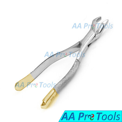 Dental Extracting Forceps #53R Molars Stainless Steel Oral Surgery ...
