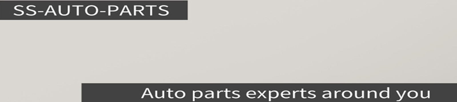ss-auto-parts | eBay Stores