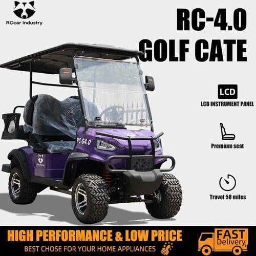 Free shipping 2024 Raccon RC-G4.0 Lead-Acid 5KW AC motor Electric Golf ...