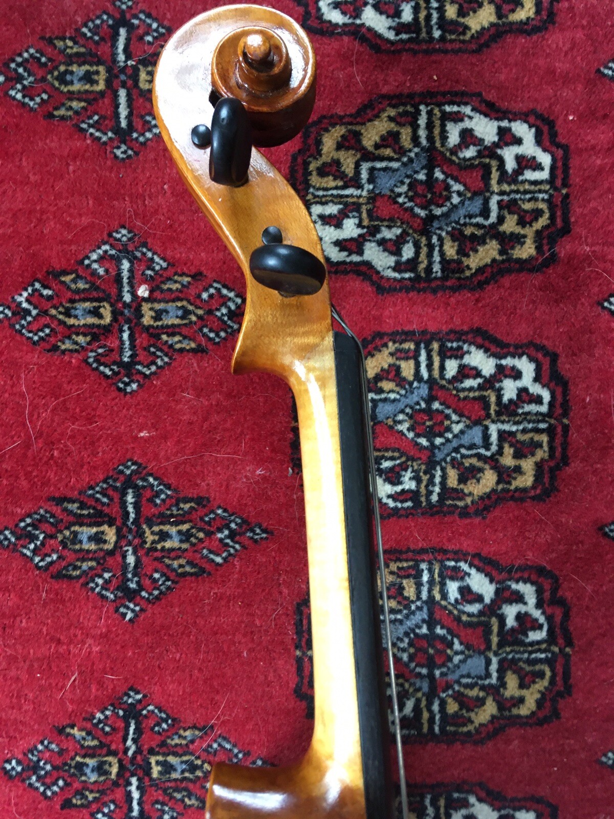 Roth Viola 15.5 Inch (Hornsteiner Reproduction) 1966 | eBay