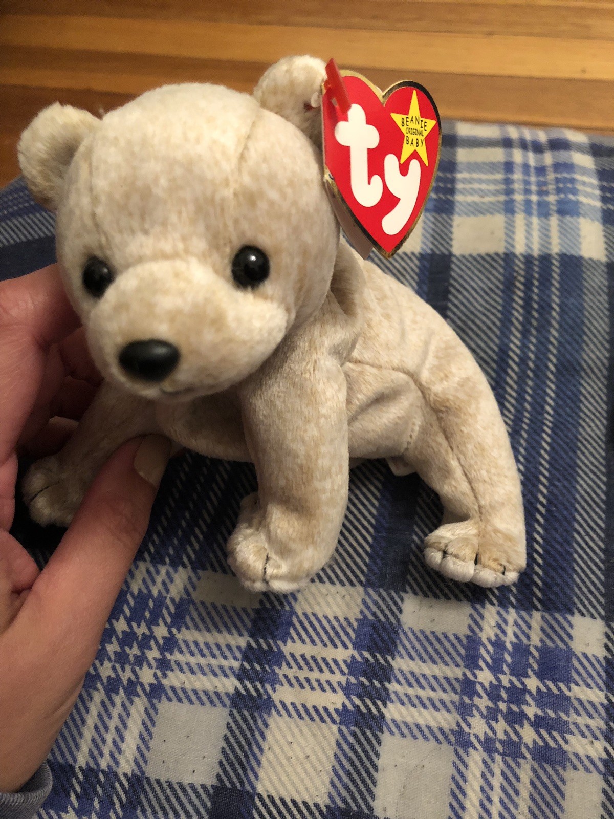 Almond And Pecan TY Beanie baby With Errors | eBay