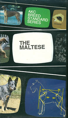 MALTESE American Kennel Club VHS dog documentary | eBay