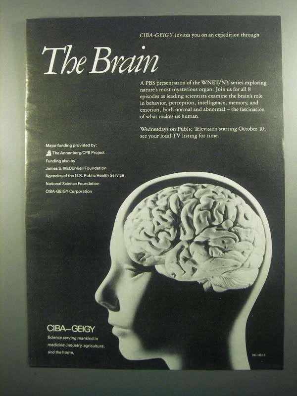 1984 Brain