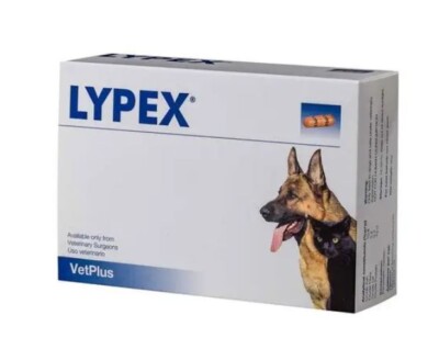 LYPEX® Pancreatic Enzyme Capsules for Dogs and Cats 60 Capsules | eBay UK