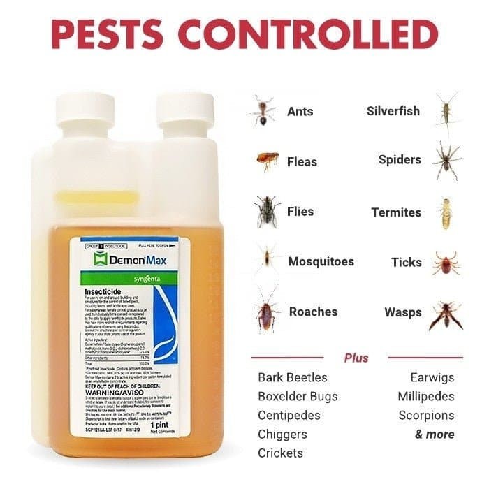 16 Oz Demon Max Pest Insect Control Insecticide 25.3% Ants Spiders ...