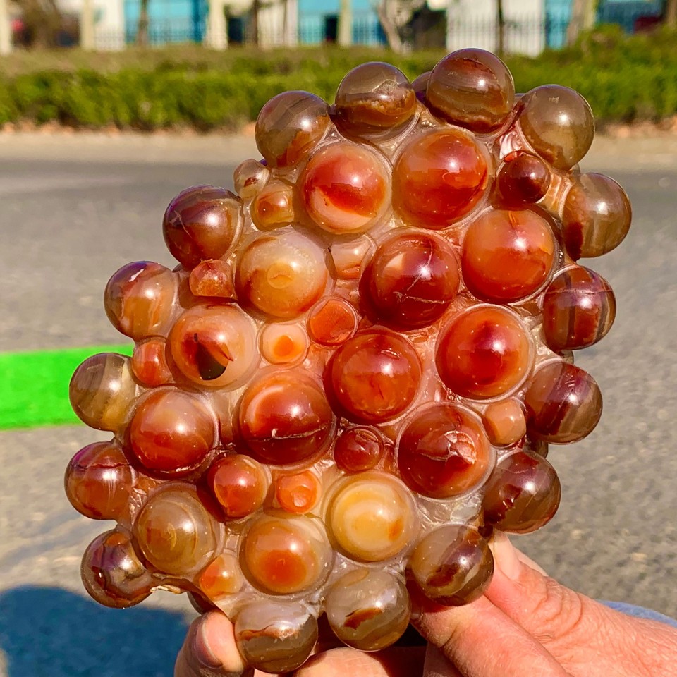 1.6LB Natural Gobi Agate Eye Agate grape shape Crystal Madagascar ...