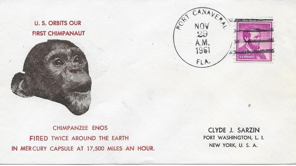 Enos Nasa Chimp 1960s Cape Canaveral Florida Montage Animals