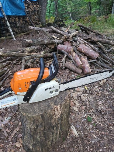 Stihl MS 291 Chainsaw 18" Guide Bar & Chain MS291 - RUNS GREAT! | eBay