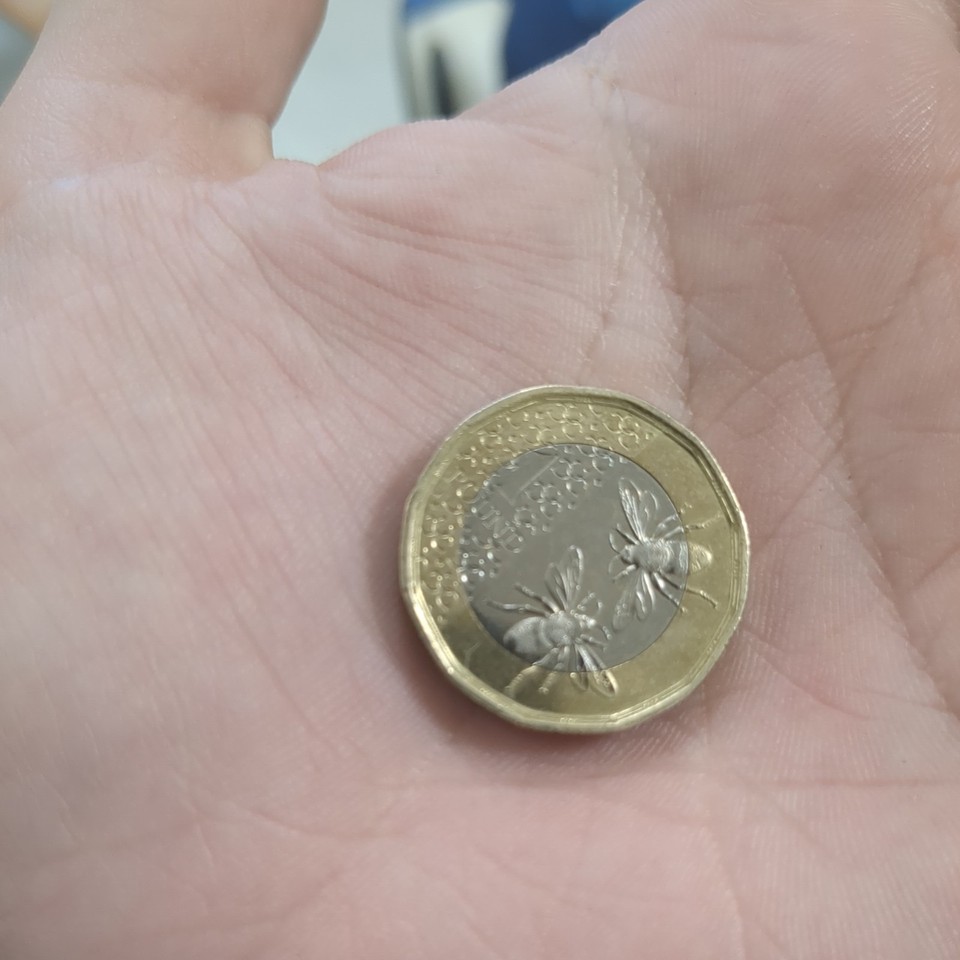 NEW RELEASE 2023 KING CHARLES III BUNC BEES PRIVY MARK £1 ONE POUND ...