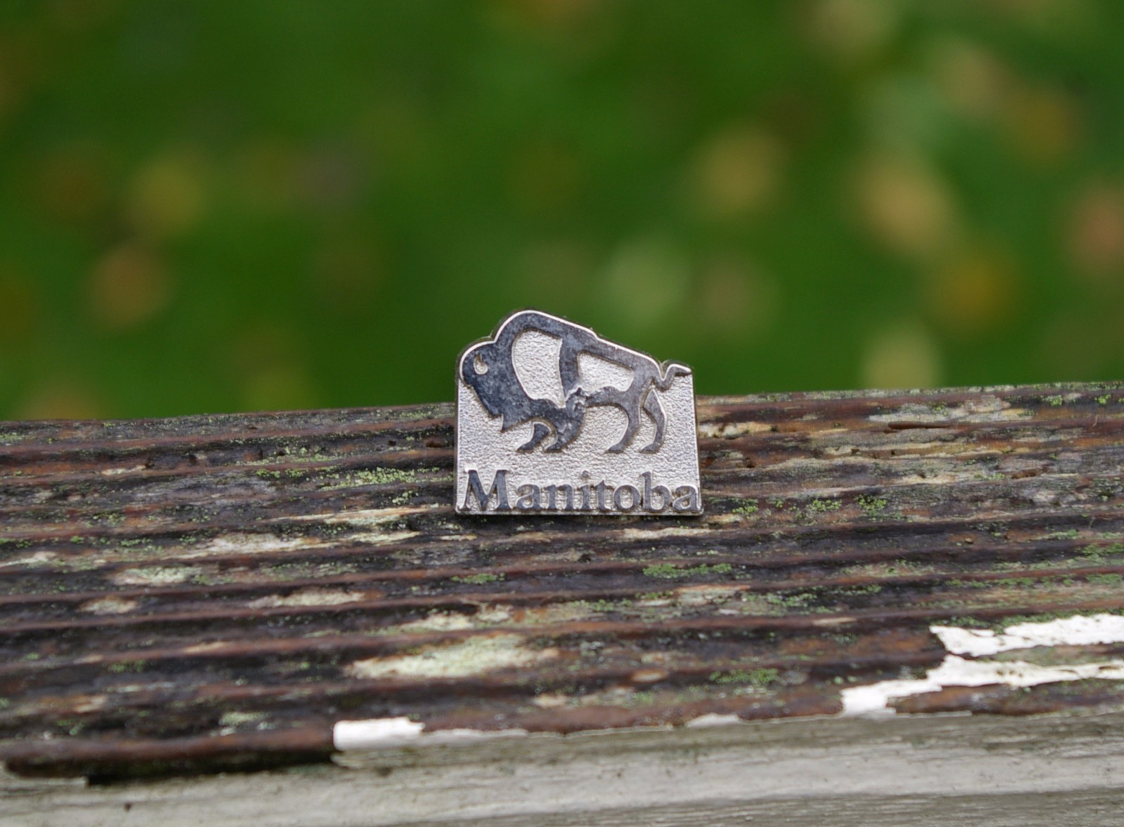 Manitoba Silver Tone Metal Buffalo Bison Pin Pinback Winnipeg Canada | eBay
