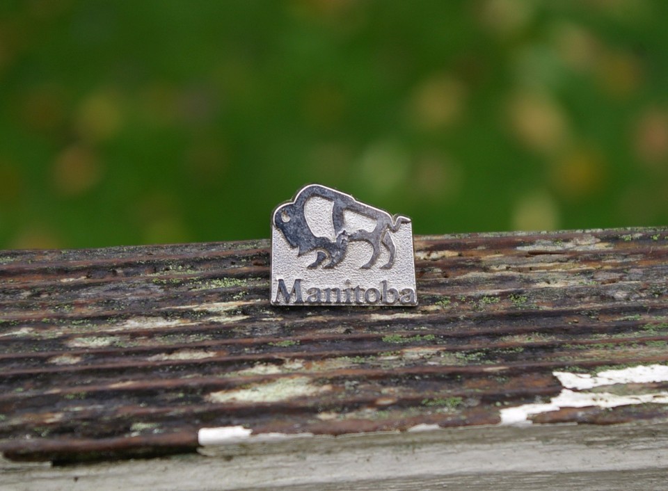 Manitoba Silver Tone Metal Buffalo Bison Pin Pinback Winnipeg Canada | eBay