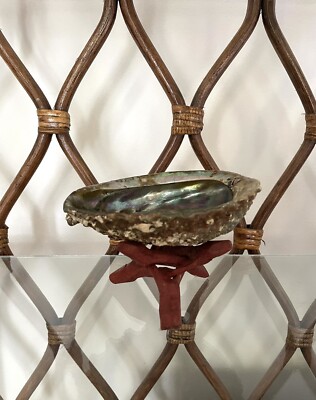 Large Abalone Shell with wooden stand | eBay