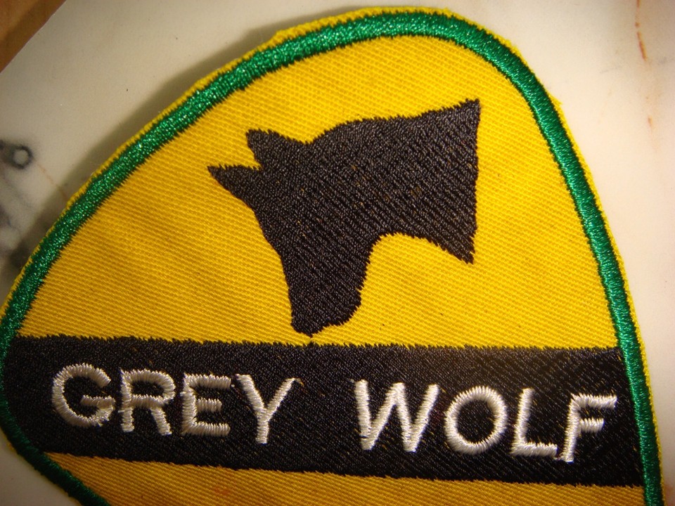US 3rd BRIGADE COMBAT " GREY WOLF " 1st CAVALRY DIVISION, VIETNAM WAR ...
