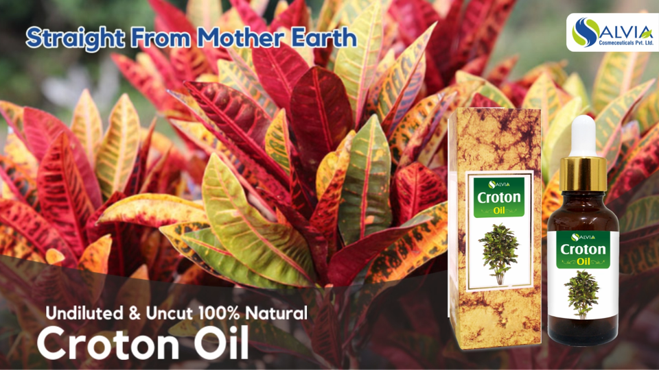 Salvia Croton Carrier Oil – 100% Pure & Natural | 10ml–5000ml | eBay