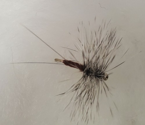 Rusty Spinner, Hackle Wing Rusty Spinner, Hi Vis Rusty Spinner, Dry Fly ...