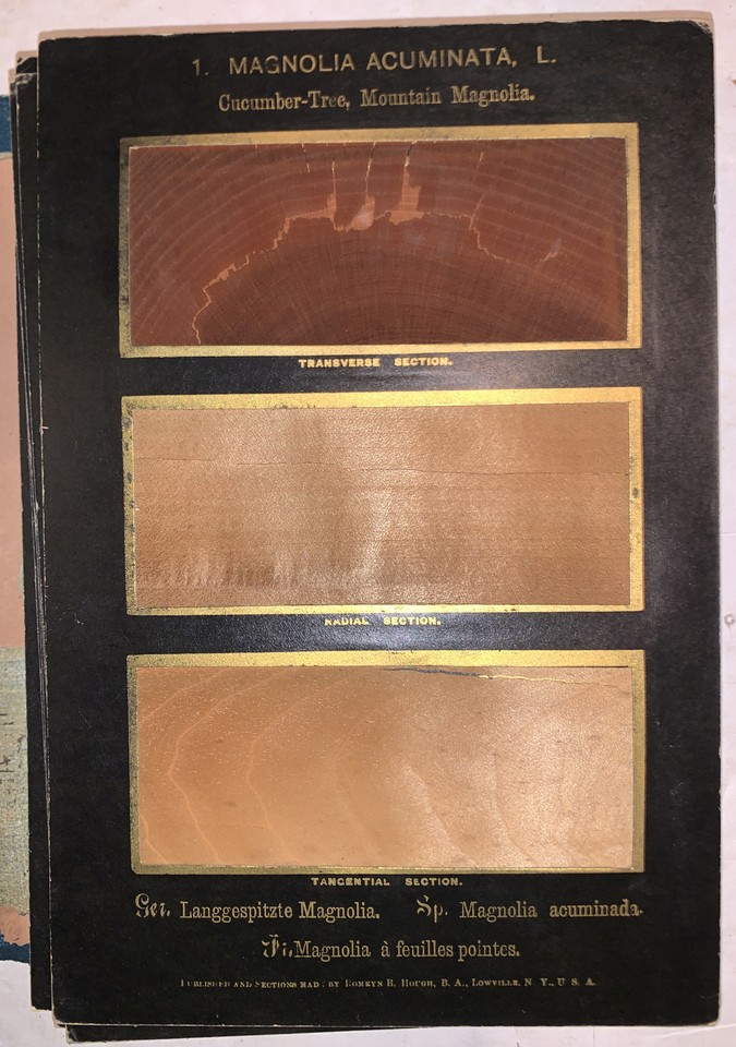 THE AMERICAN WOODS, ROMEYN B HOUGH INSCRIBED, 1888-1928, 1st, 14 VOL W ...