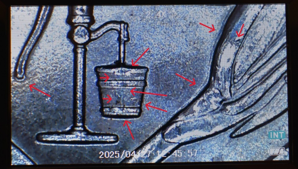 2015 P HOMESTEAD Nebraska QUARTER ERROR Double Die. Die Crack, Leaky ...