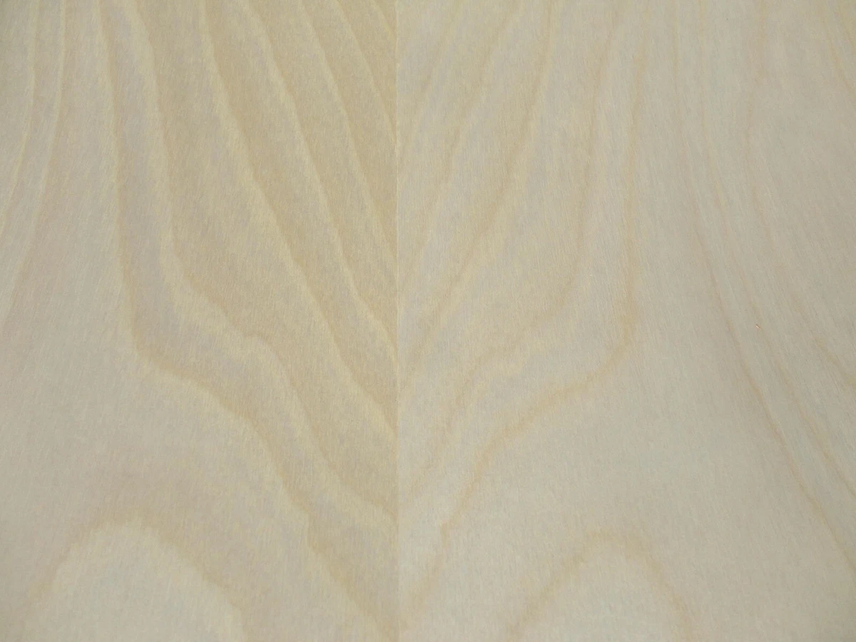 White Birch Wood Grain